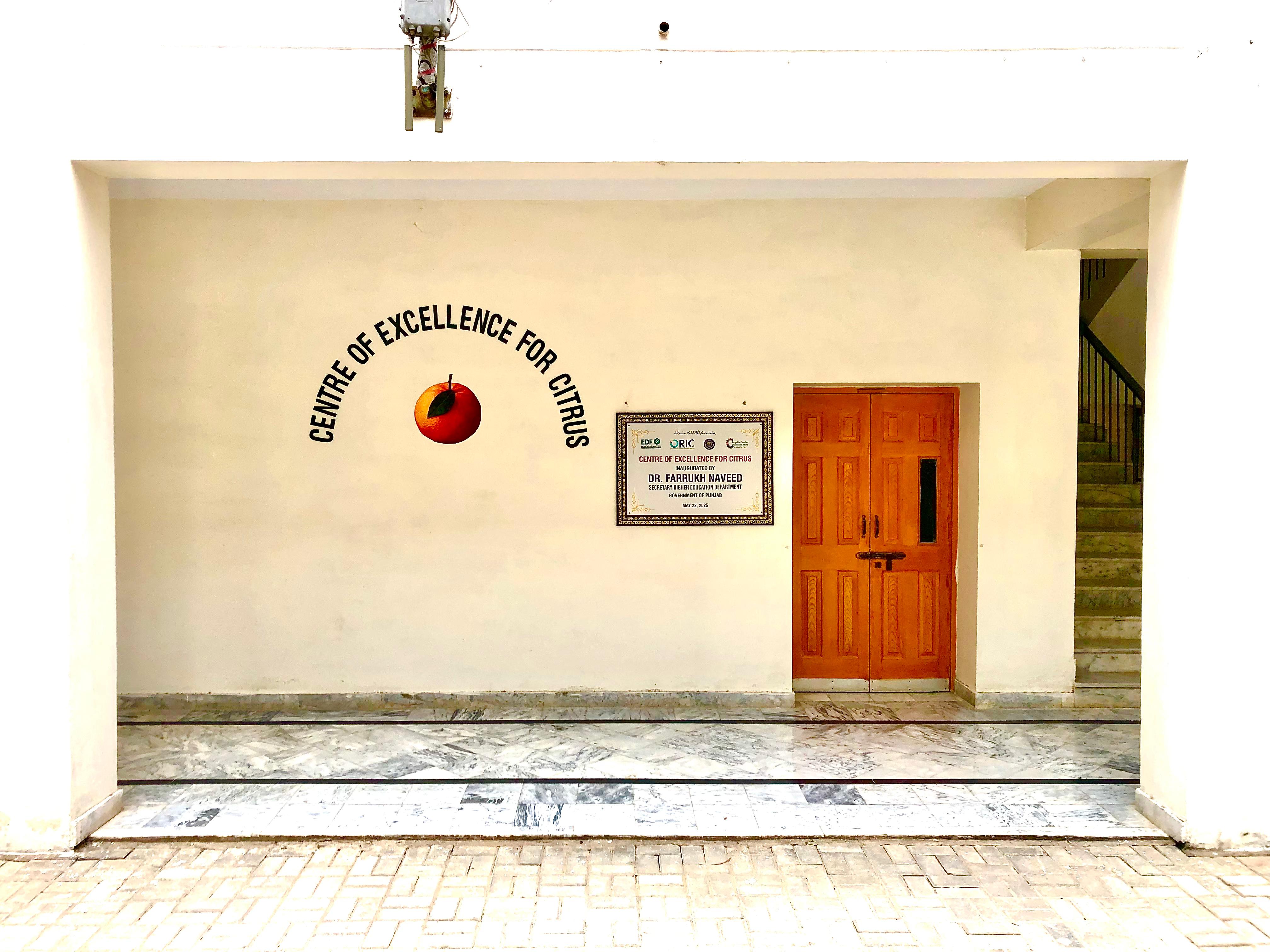 Welcome to UOS | University of Sargodha